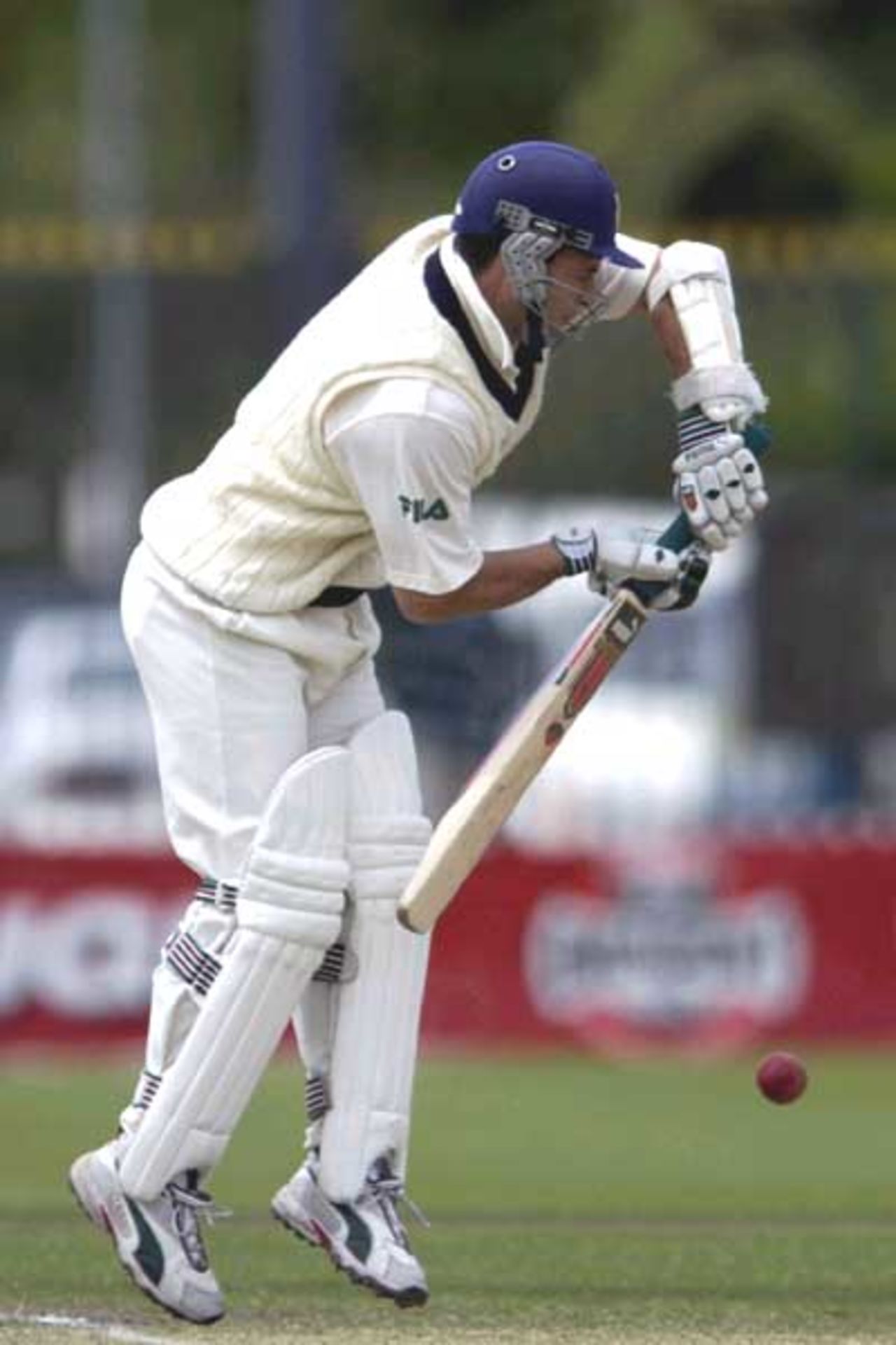 Harvey batting, South Australia v Victoria, Pura Cup, 2001/02 ...