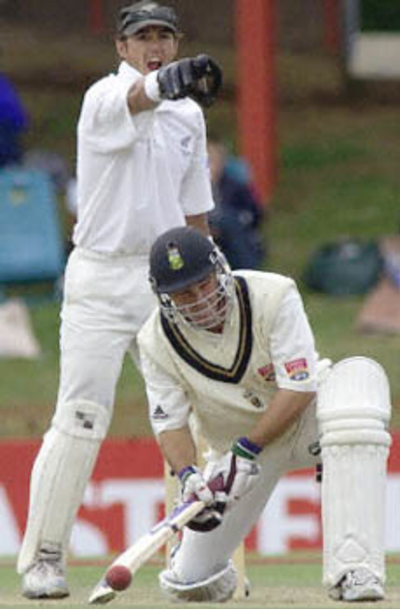 Adam Parore - Portrait | ESPNcricinfo.com