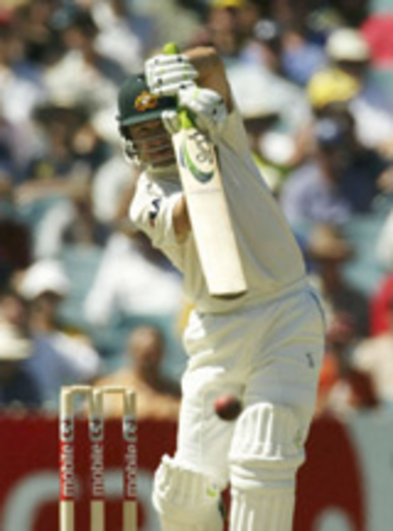 Ajit Agarkar is pretty happy after dismissing Damien Martyn ...