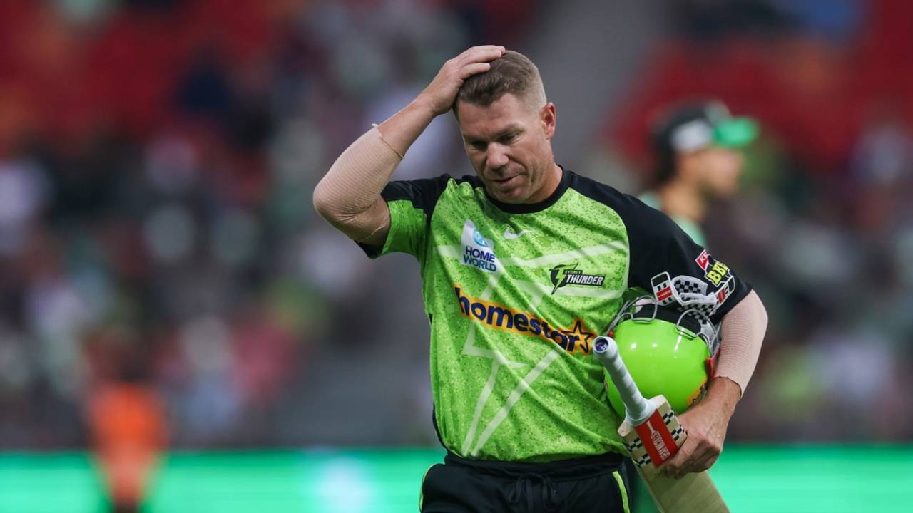 Australia news - David Warner was 'reckless and foolish' to drink and ...