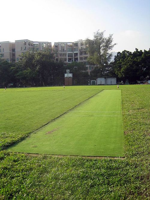 Preparation work on Hong Kong's third grass wicket at Mission Road is ...