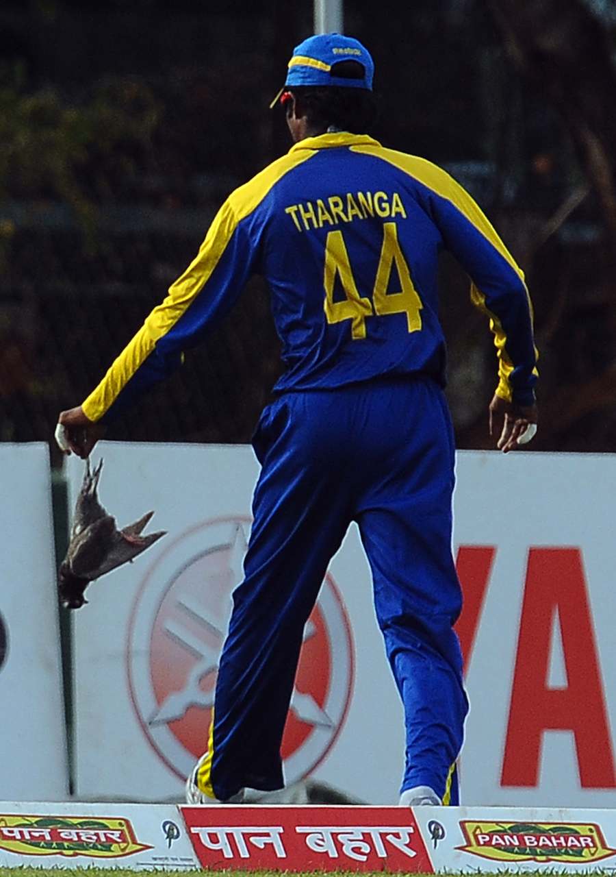 Upul Tharanga takes a dead bird off the field | ESPNcricinfo.com