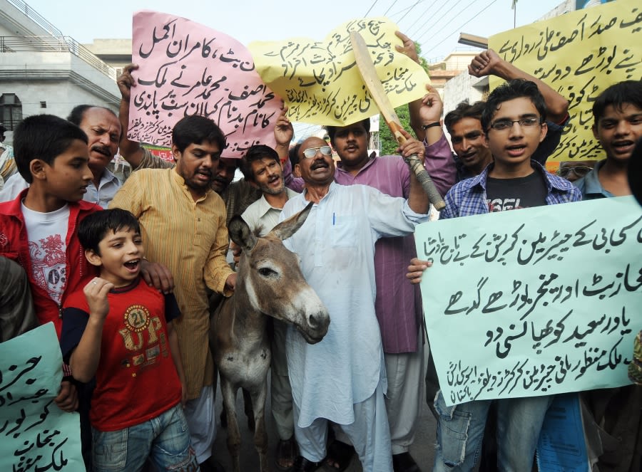 Angry Pakistan fans demonstrate with signs, slogans and a donkey amid ...