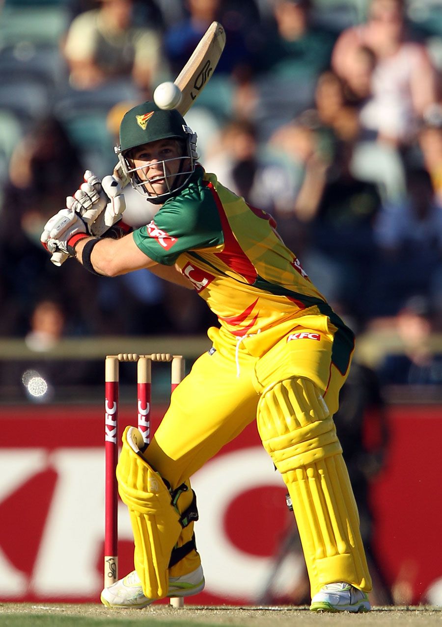 WA vs TAS Cricket Scorecard at Perth, December 30, 2010