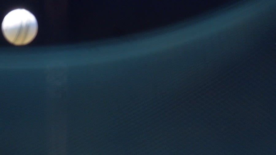 A run for Ricky | ESPNcricinfo