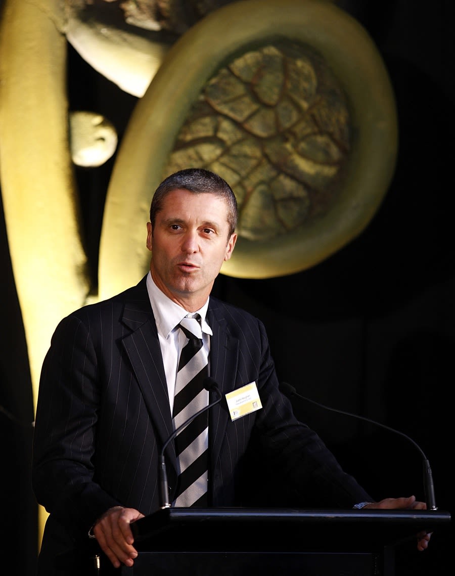 New Zealand news: Justin Vaughan irked by 2015 World Cup uncertainty ...