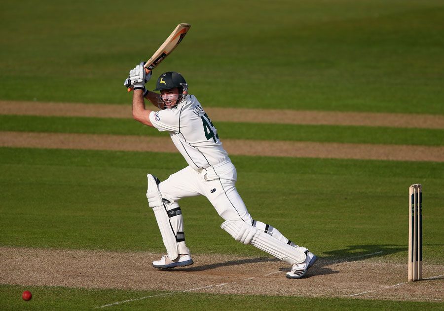 Michael Lumb saved Nottinghamshire from a complete collapse ...