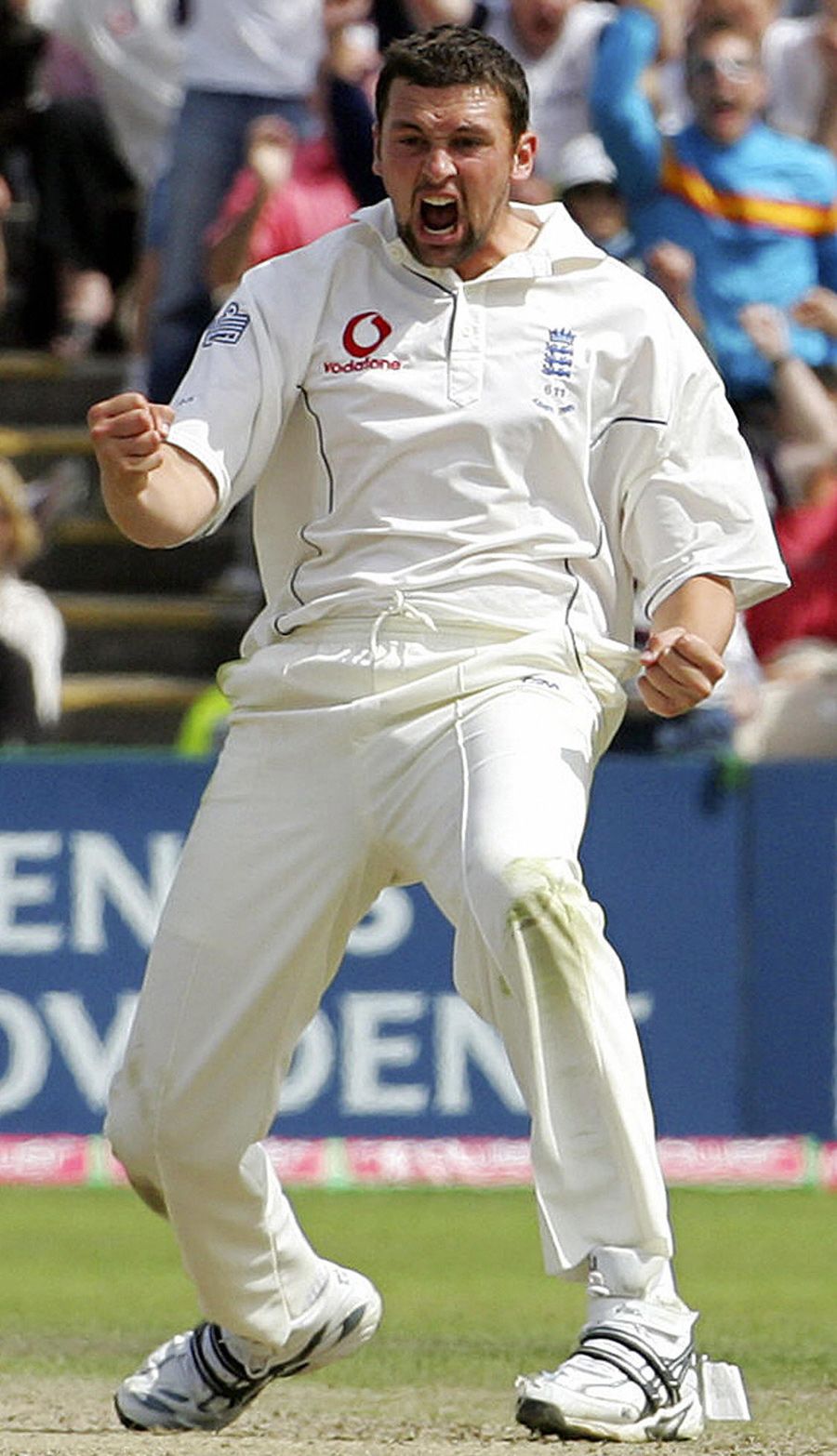 Steve Harmison celebrates after trapping Damien Martyn lbw for 19 ...
