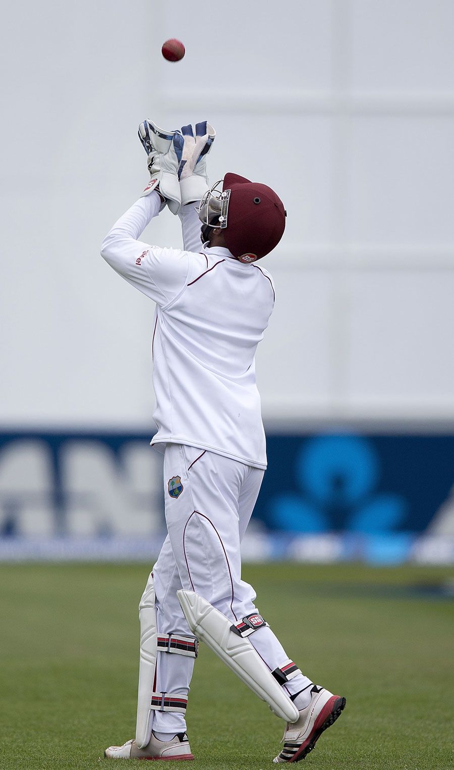 Denesh Ramdin takes the catch of Brendon McCullum | ESPNcricinfo.com