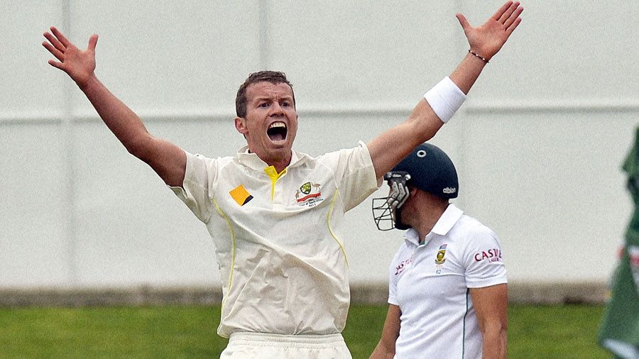 Siddle building up his pace and strength | ESPNcricinfo