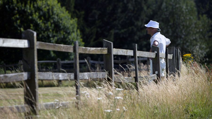 Michael Jeh: The gentlemen of the village green | ESPNcricinfo