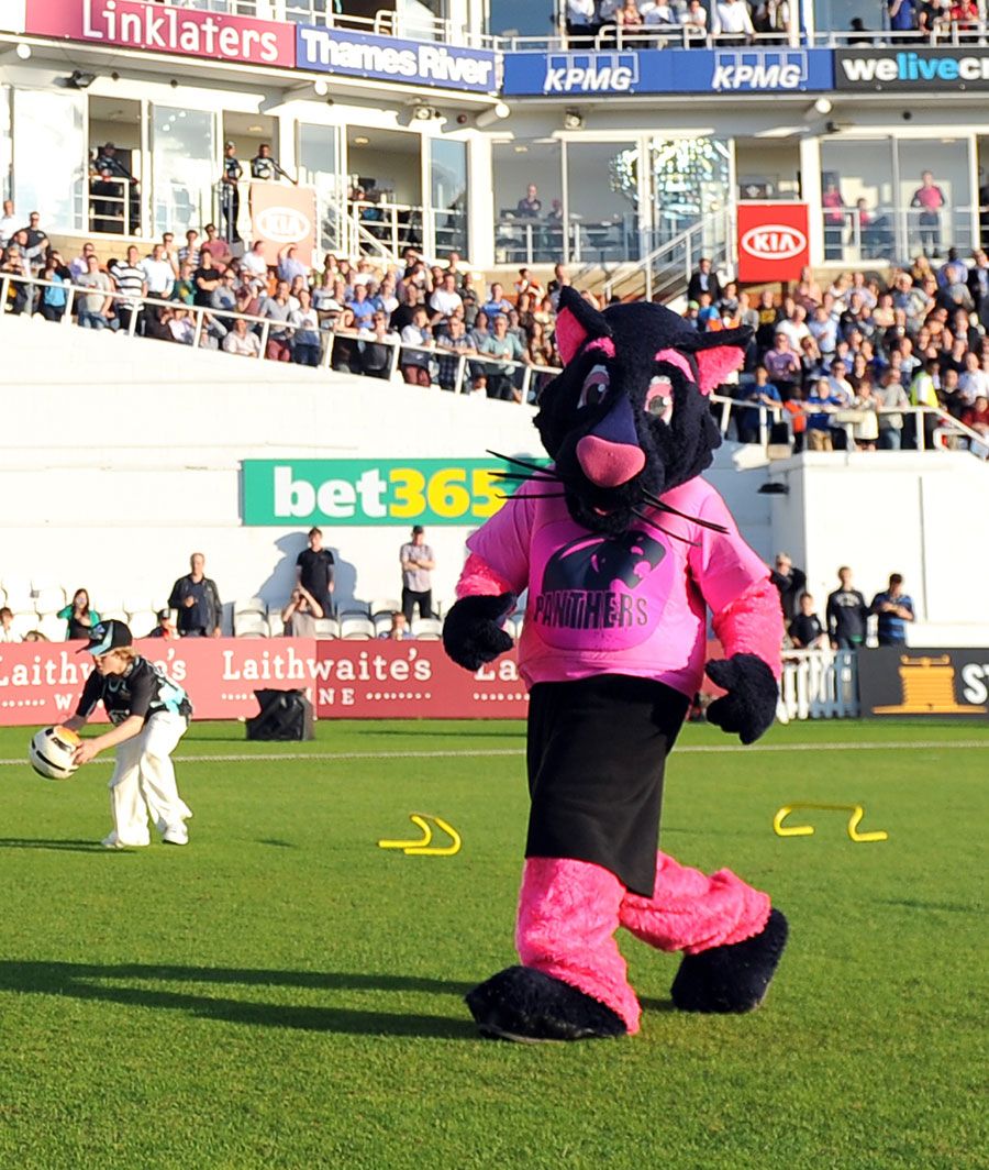 The Middlesex mascot Pinky the Panther | ESPNcricinfo.com