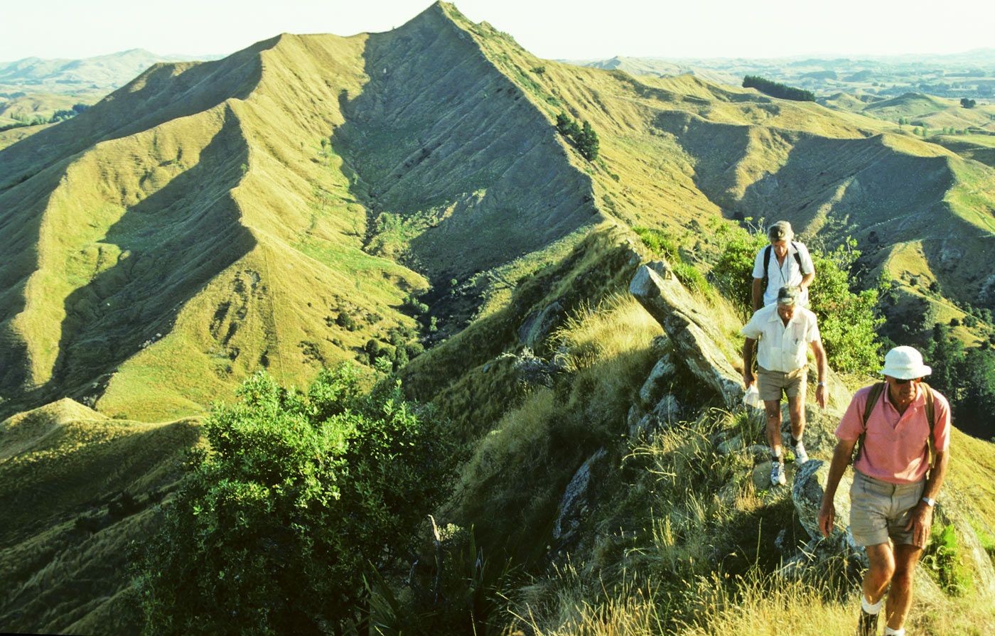 Napier | ESPNcricinfo.com