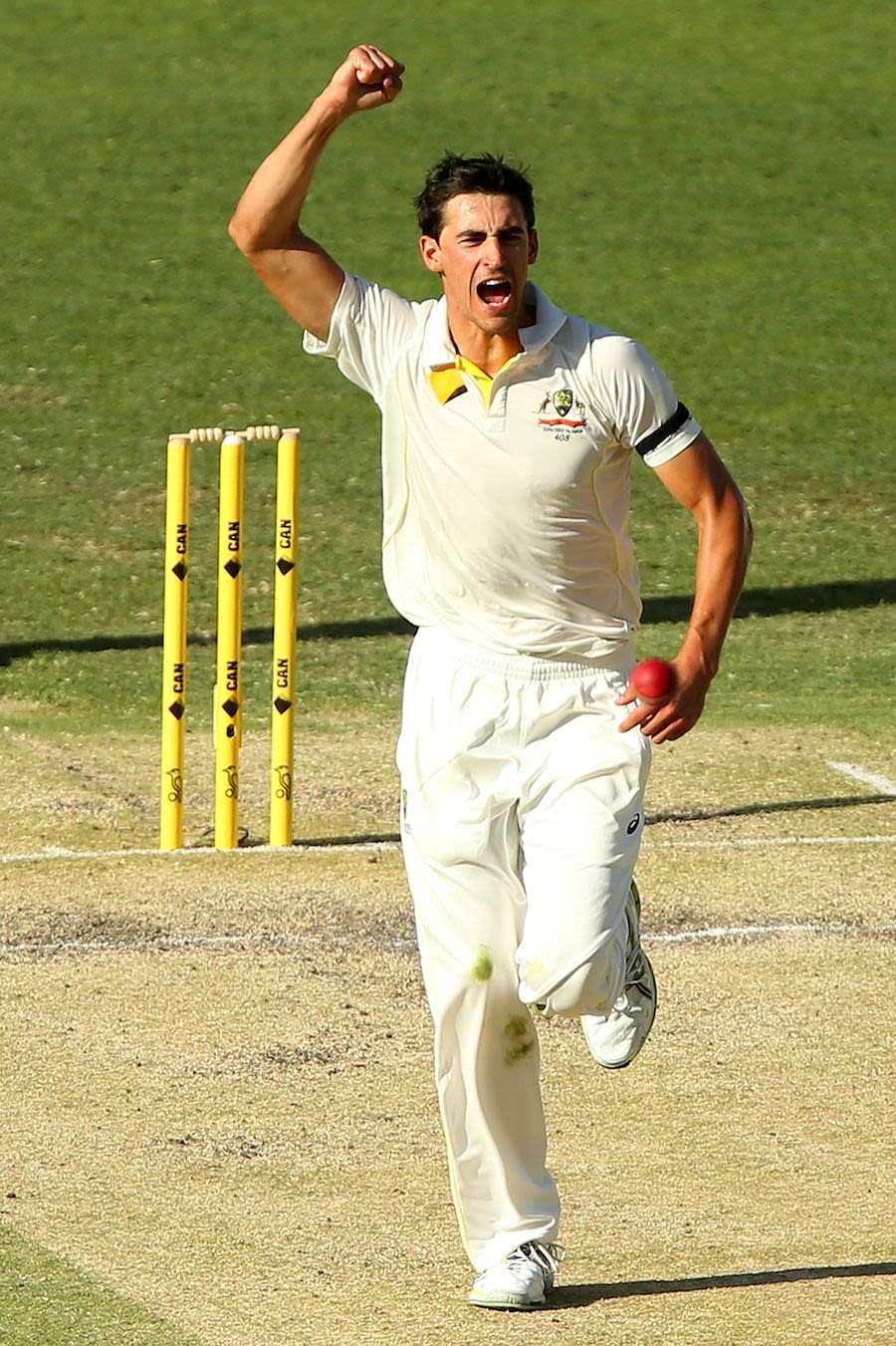 Mitchell Starc celebrates M Vijay's wicket | ESPNcricinfo.com