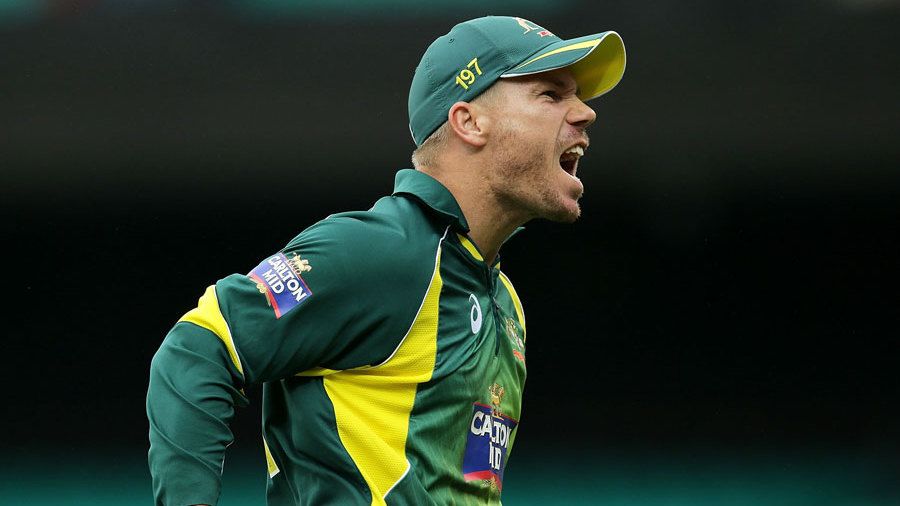 David Warner hopes to force Brendon McCullum 'brain explosion ...