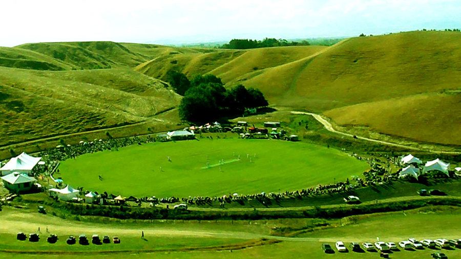 Will Macpherson: Napier shows us World Cup joy | ESPNcricinfo