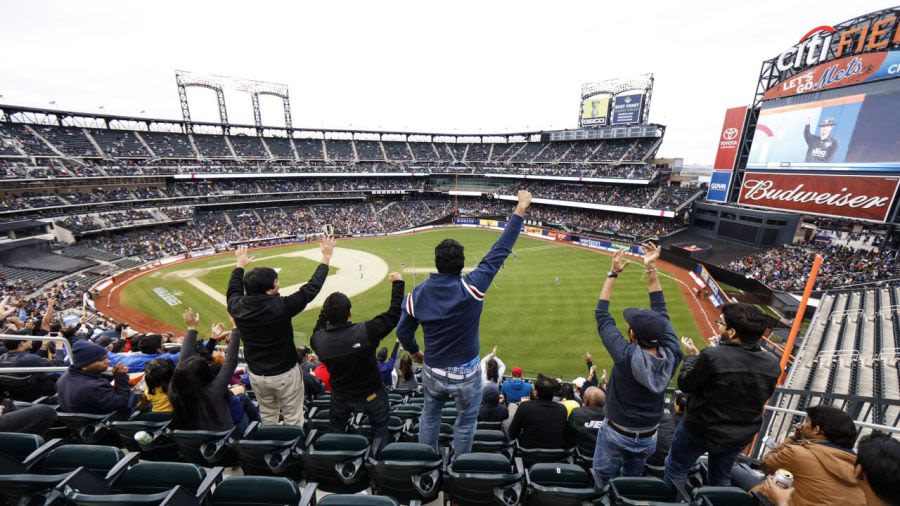 Rob Steen: Watching America watch cricket | ESPNcricinfo