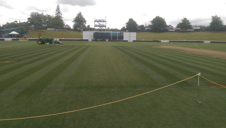 A verdant surface was unveiled at Seddon Park | ESPNcricinfo.com