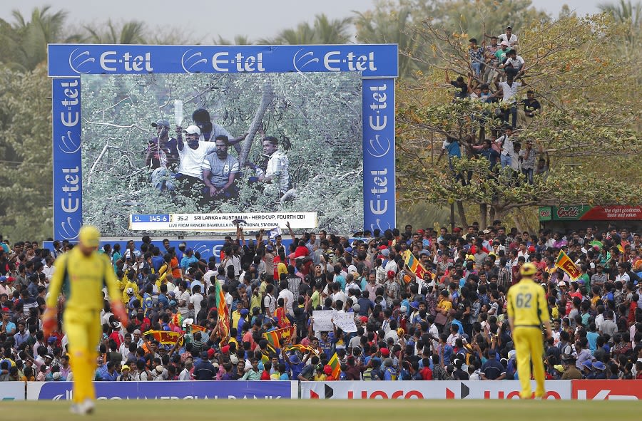 It was climb-up-on-tree room only in Dambulla | ESPNcricinfo.com