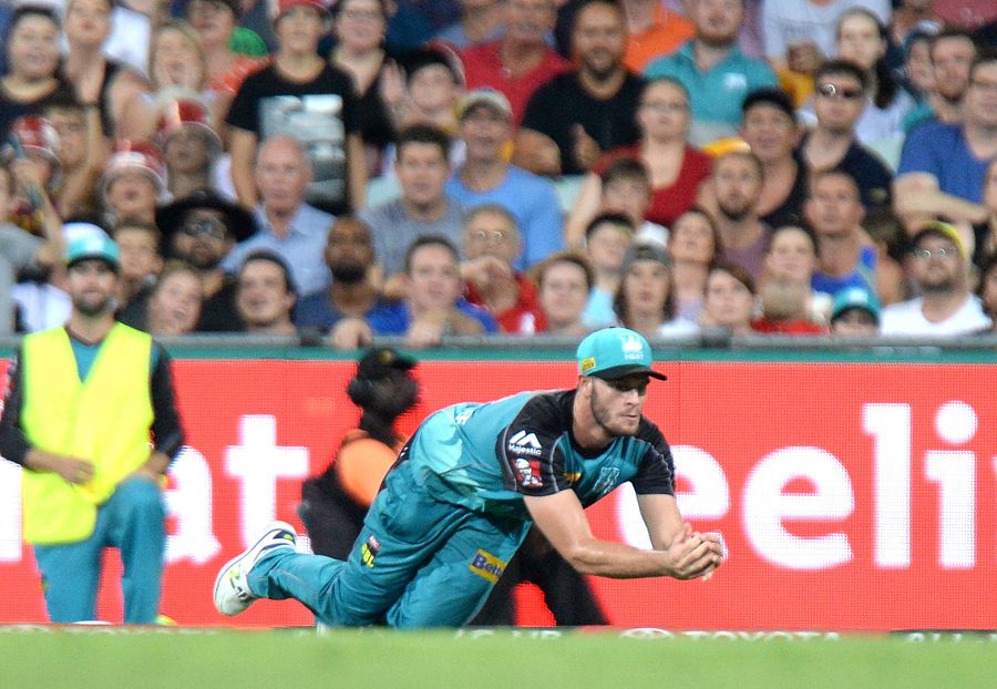 Mark Steketee complete a catch inches from the ground | ESPNcricinfo.com