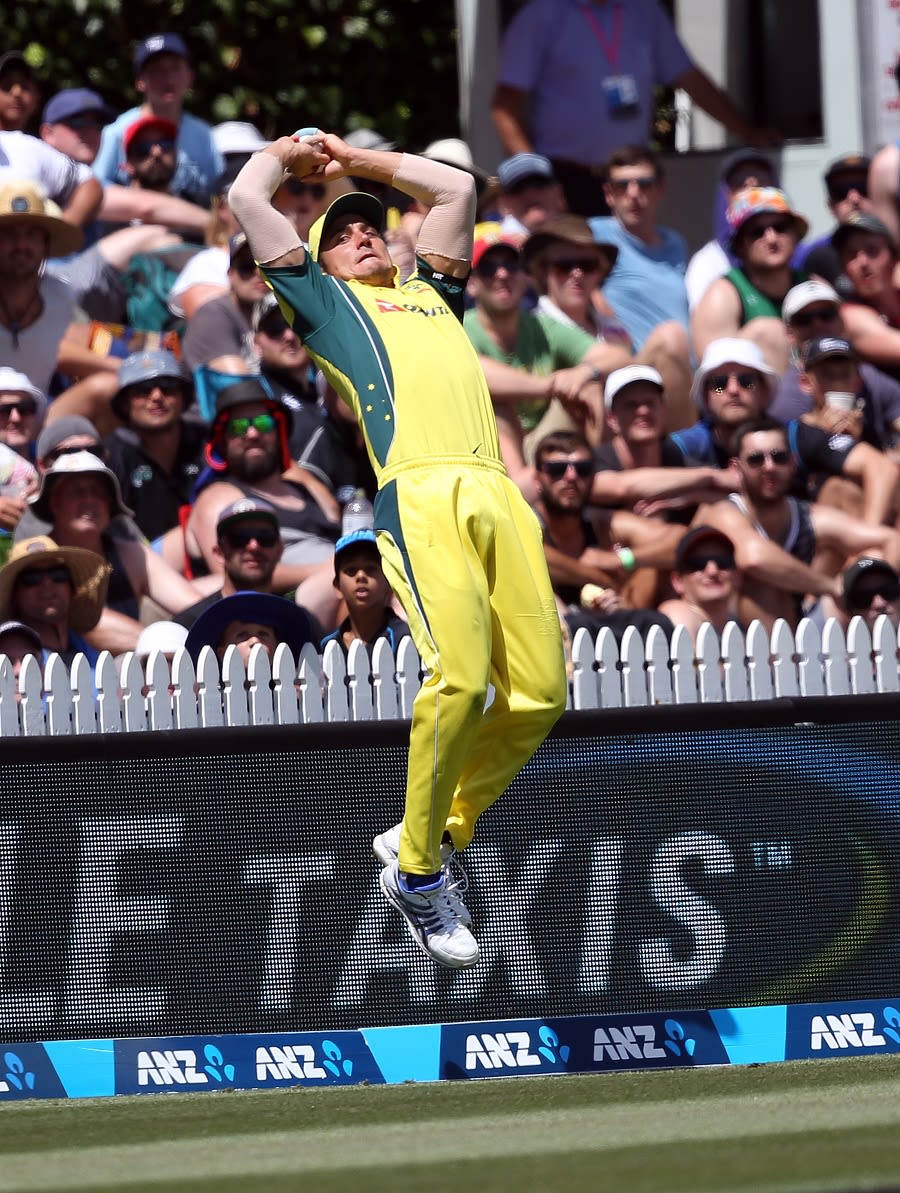 Marcus Stoinis nearly pulled off a spectacular catch at deep midwicket ...