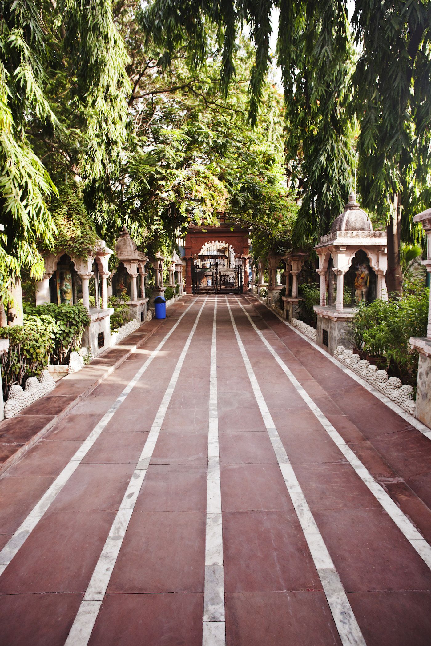 A shaded walkway in a garden in Rajkot | ESPNcricinfo.com