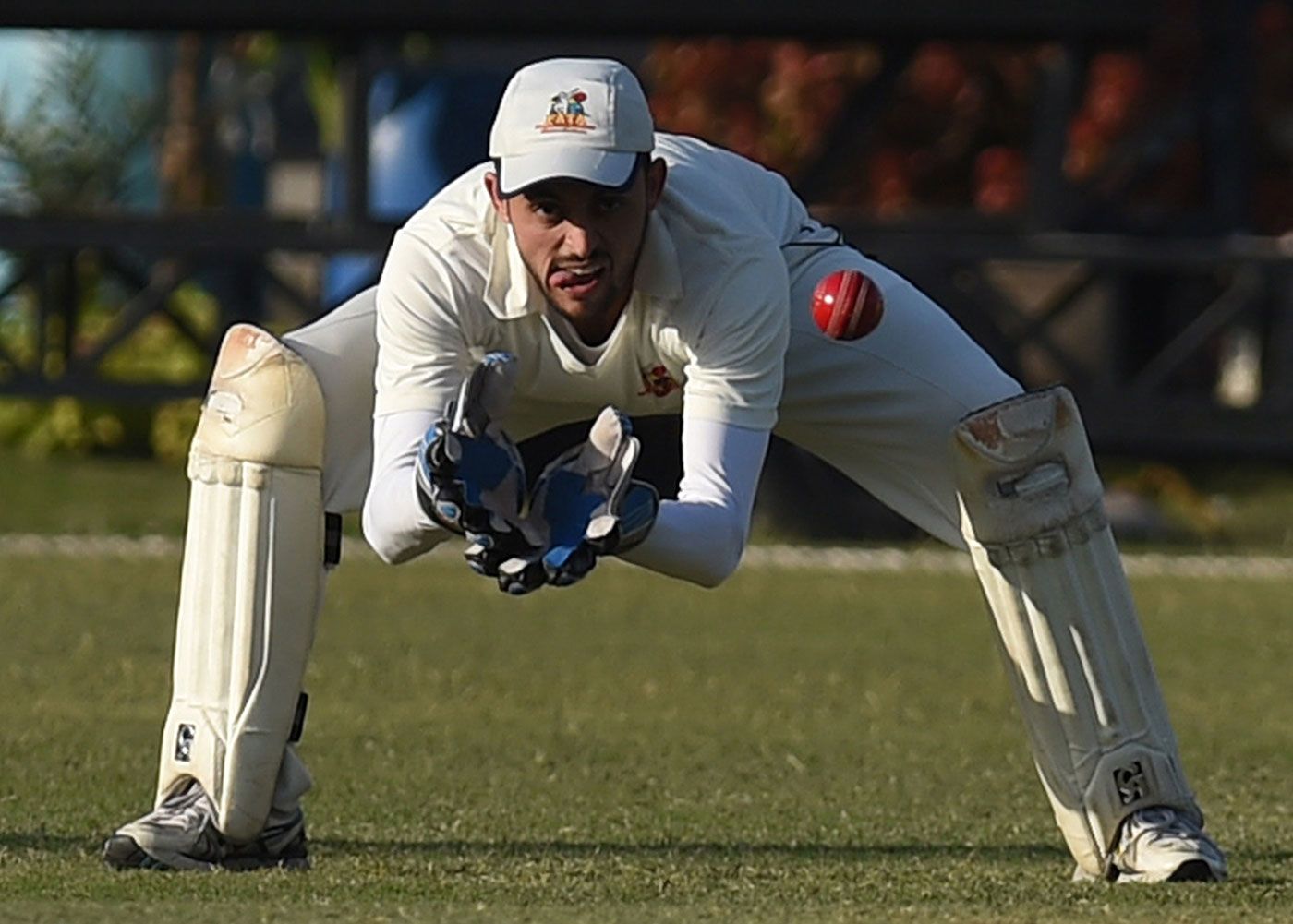 FATA's Rehan Afridi | ESPNcricinfo.com