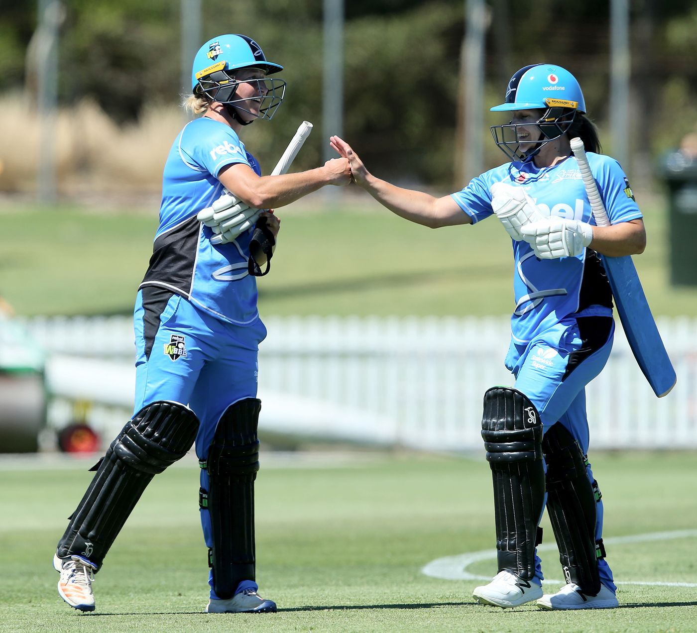 Sophie Devine and Bridget Patterson strung a fifty partnership ...