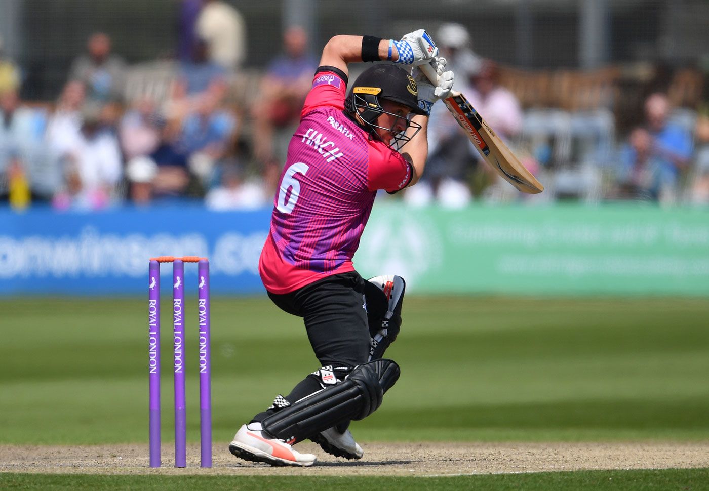 Harry Finch scored his maiden one-day hundred | ESPNcricinfo.com