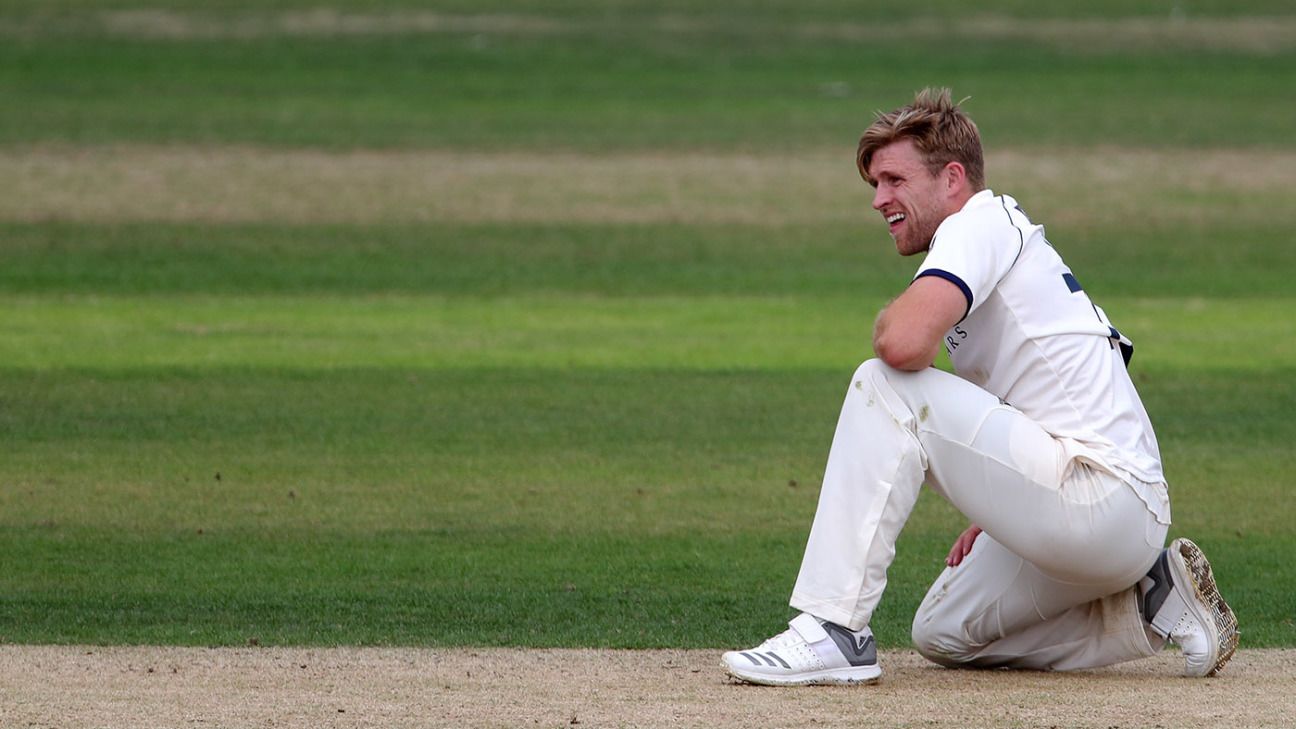 'We're in the dark about The Hundred' - David Willey | ESPNcricinfo