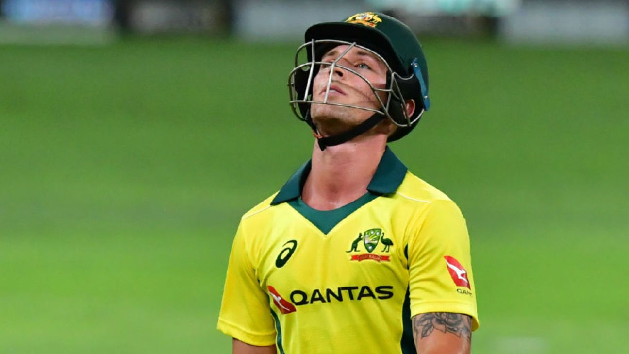 Ben McDermott added to Australia ODI squad | ESPNcricinfo