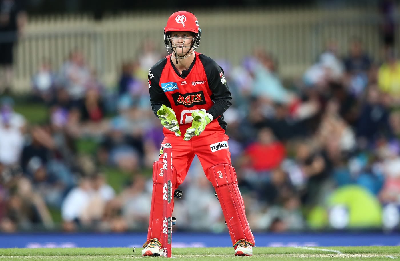 Melbourne Renegades wicketkeeper Sam Harper in action | ESPNcricinfo.com