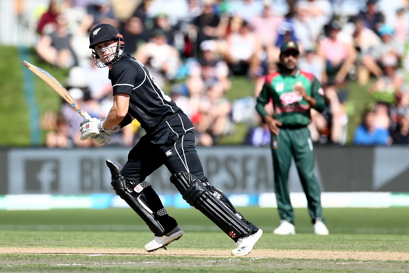 Tom and Taylor make merry in Dunedin | ESPNcricinfo.com