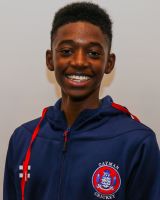 Stephen Watson Debut and last played matches in Tests, ODIs, T20Is and ...