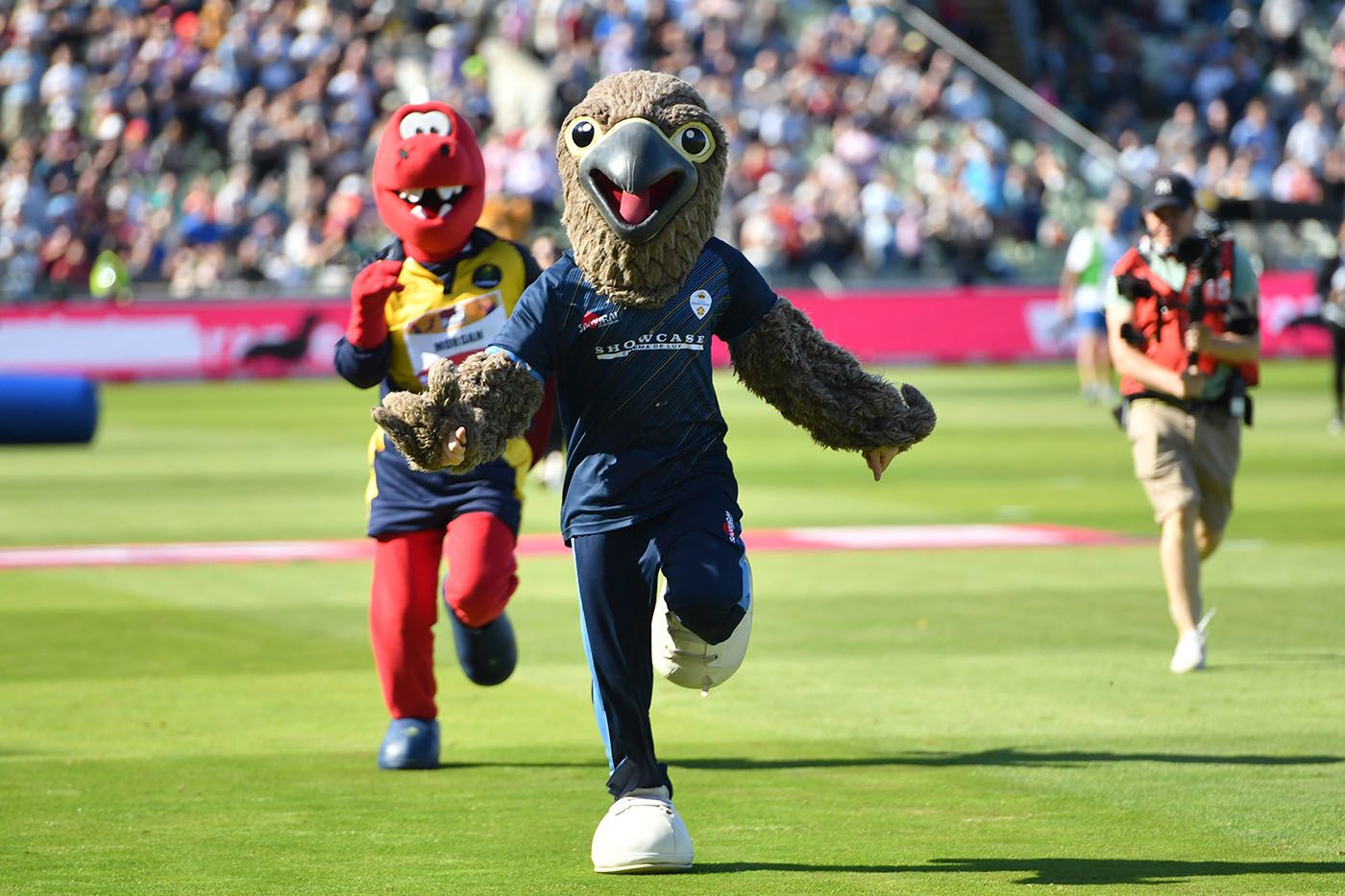 Freddy the Falcon of Derbyshire wins the mascots race on Finals Day ...