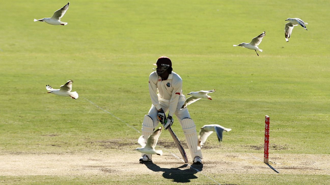 What we're watching: They played Test cricket too | ESPNcricinfo