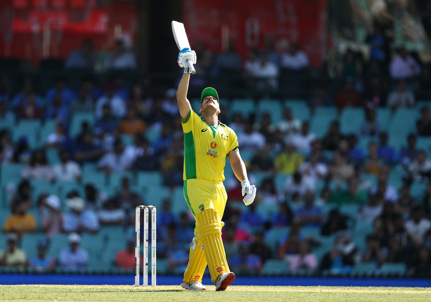 Aaron Finch raises his bat for his half-century | ESPNcricinfo.com