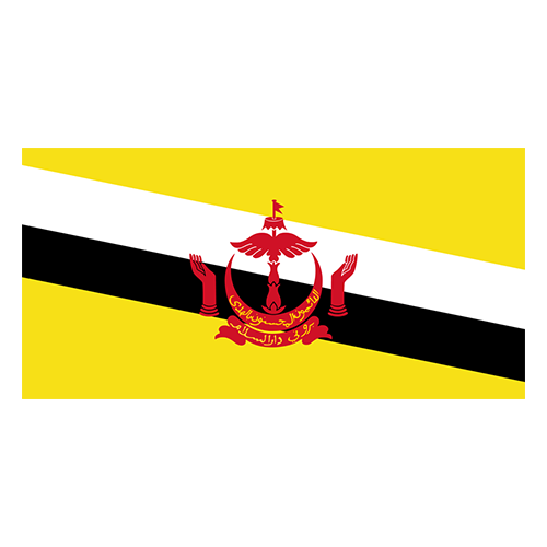 Brunei Cricket Team | Brunei News, Matches, Results, Squad | IPL 2026