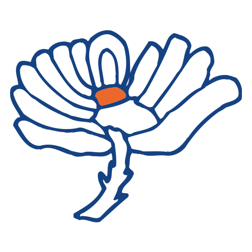 Yorkshire Cricket Team | YOR | News & Matches
