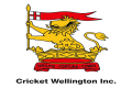 Wellington logo | ESPNcricinfo.com