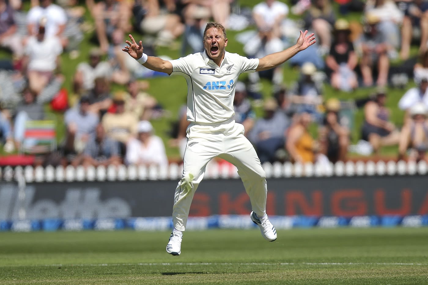 Neil Wagner makes a loud appeal | ESPNcricinfo.com
