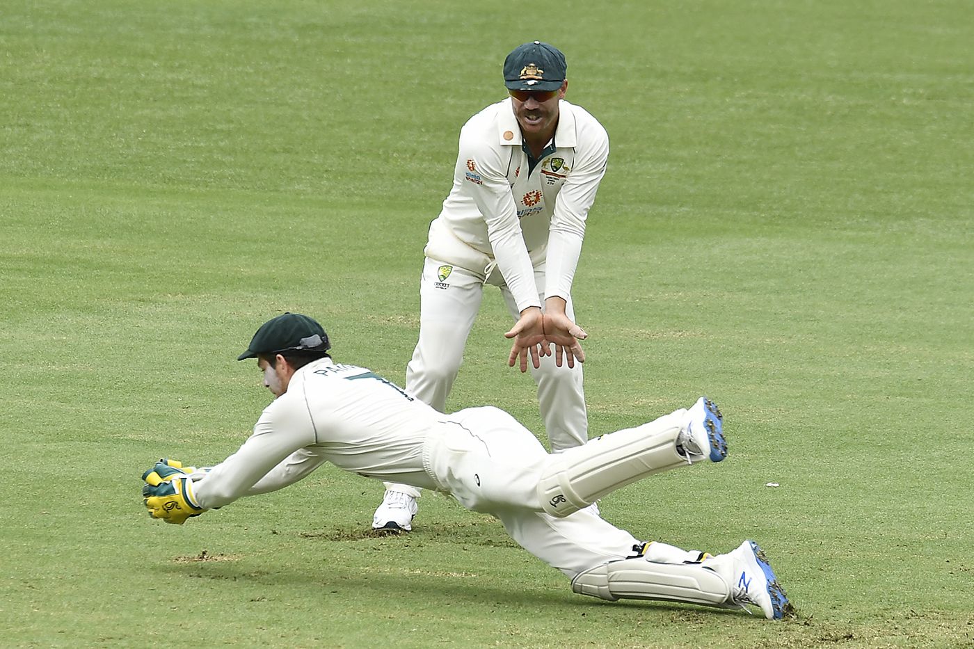 Tim Paine dives in front of first slip to catch Rohit Sharma ...