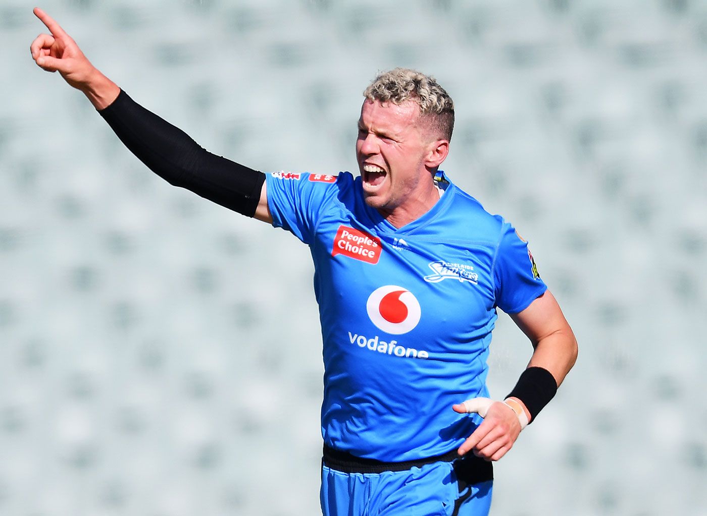 Peter Siddle was superb at the death | ESPNcricinfo.com