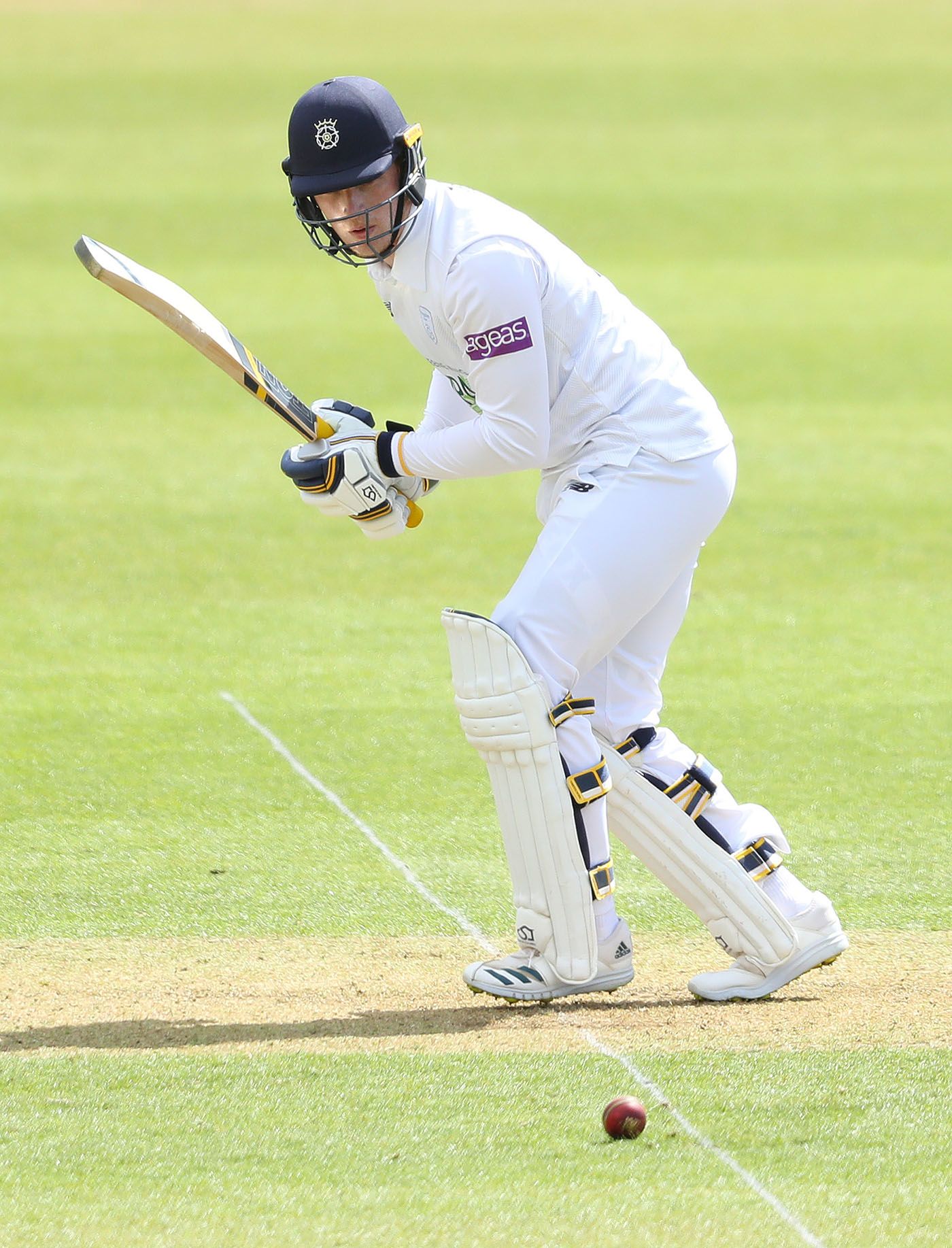 Tom Alsop reached 149 | ESPNcricinfo.com