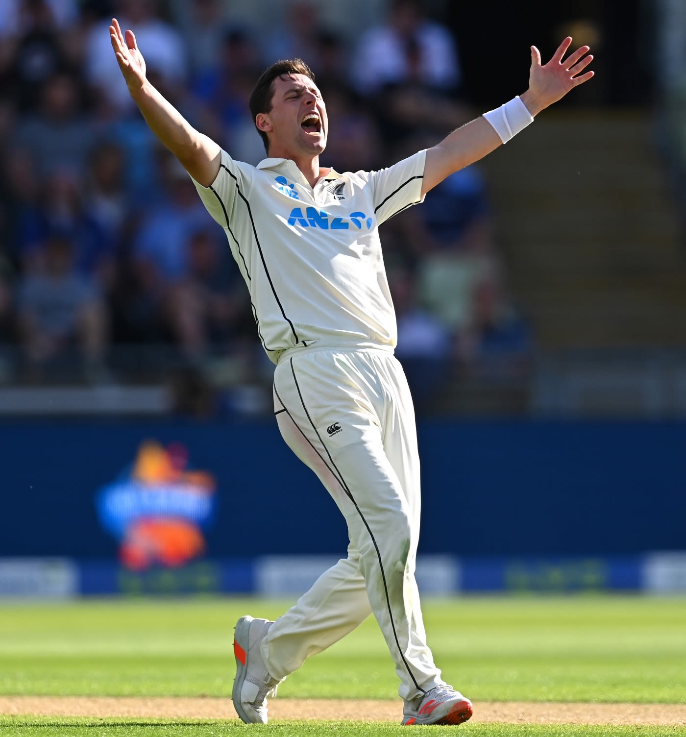 Matt Henry goes up in appeal | ESPNcricinfo.com