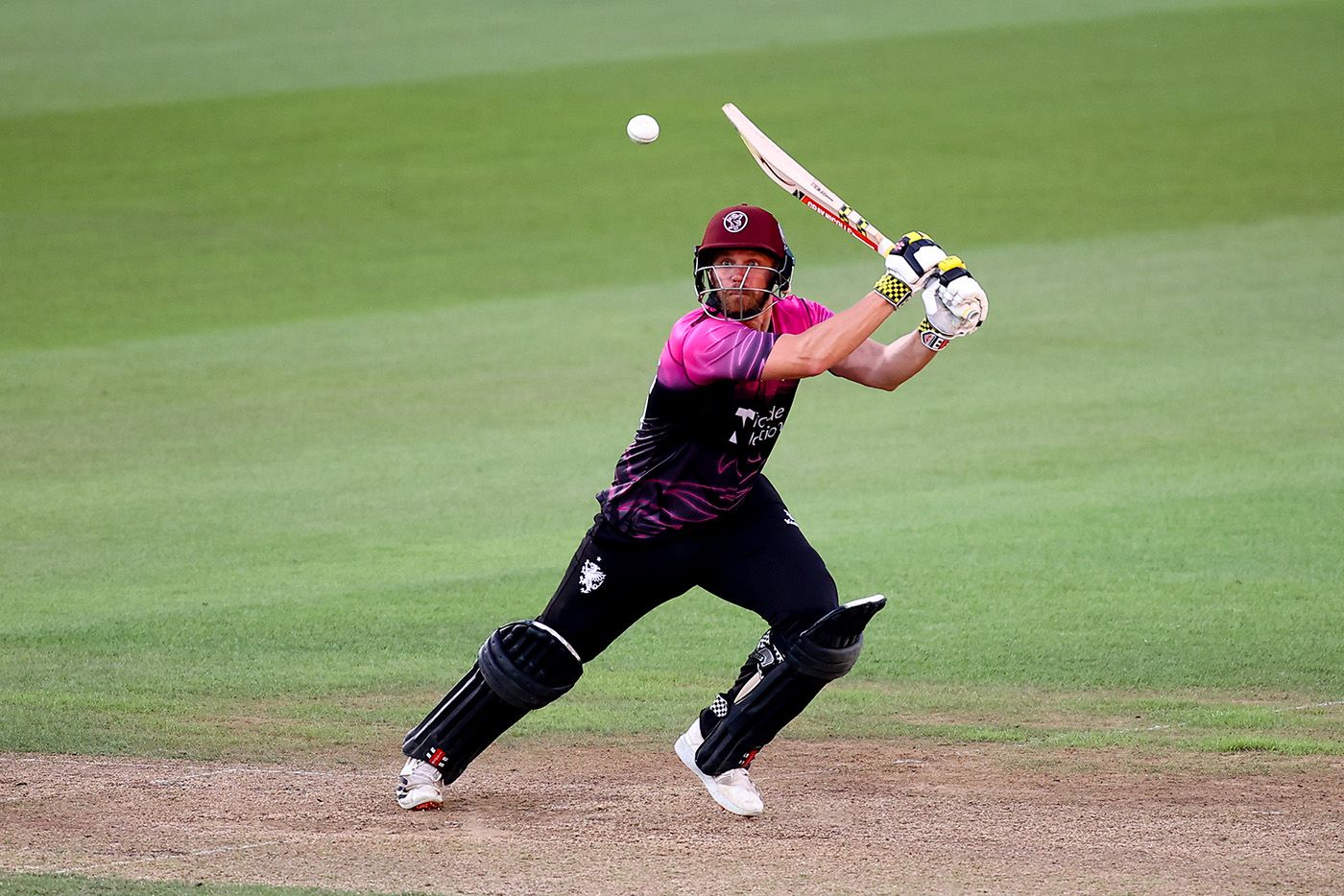 James Hildreth marshalled the chase | ESPNcricinfo.com