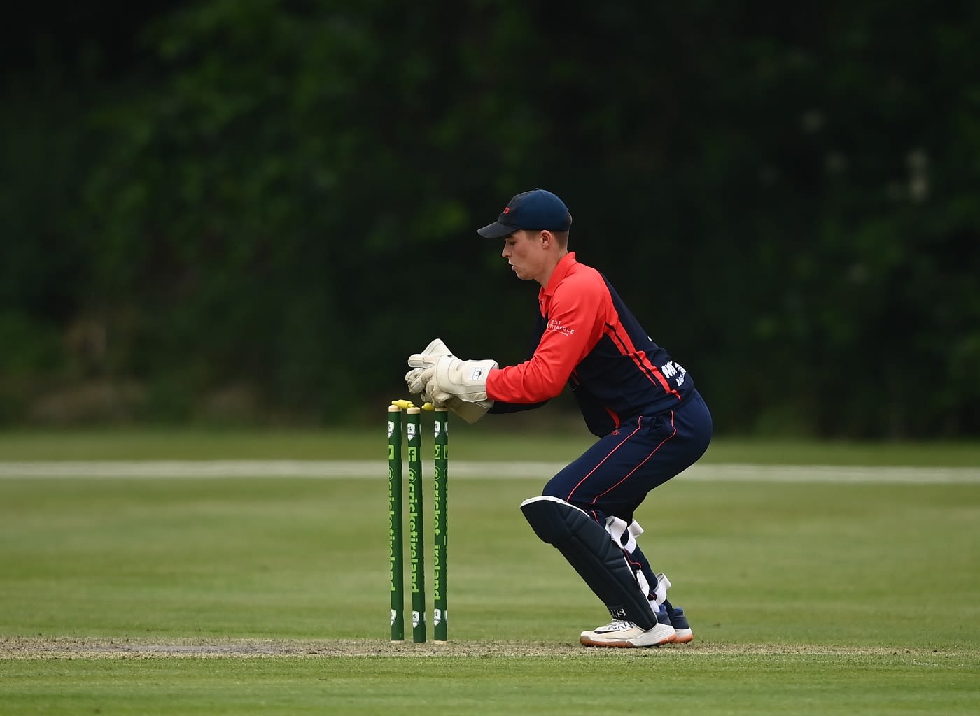 Neil Rock in action for Northern Knights | ESPNcricinfo.com