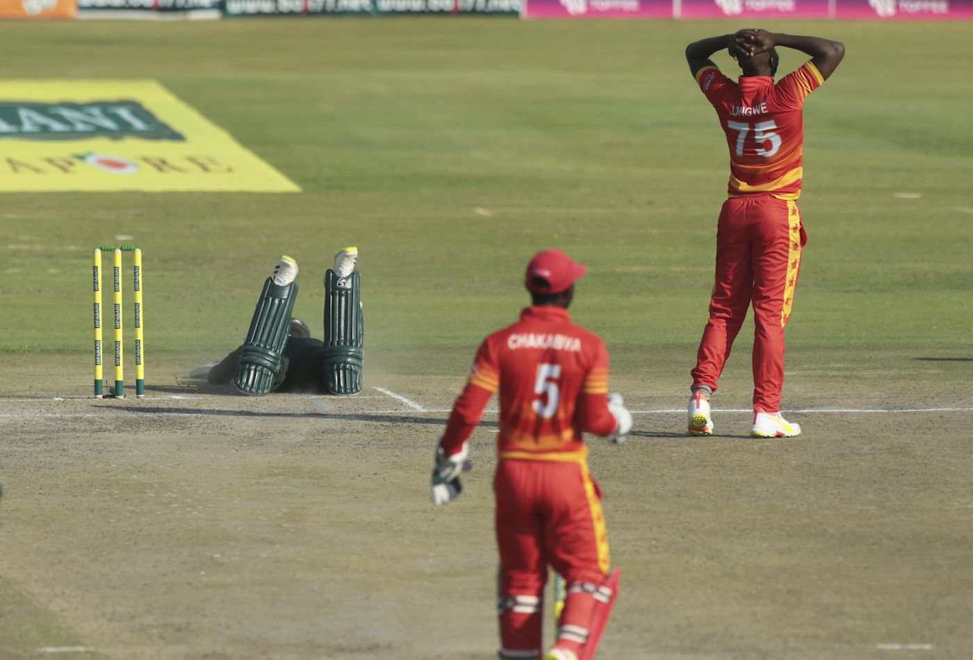 Luke Jongwe holds his head in despair after a missed run-out chance ...