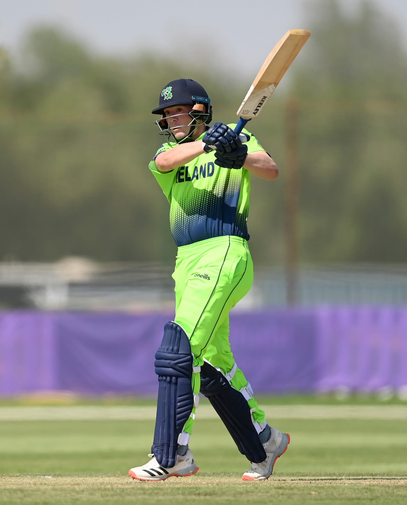 Gareth Delany scored an unbeaten 88 off 50 balls | ESPNcricinfo.com