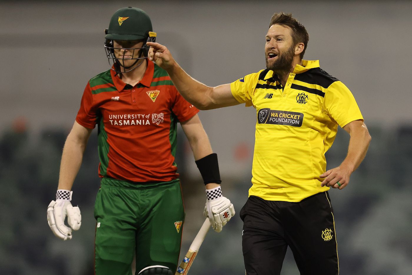 Andrew Tye is pumped after taking a wicket | ESPNcricinfo.com